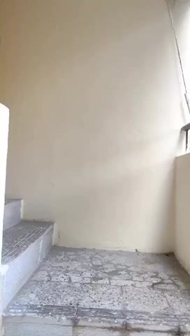 Prabhat Road, Pune - Map, Pin Code, & Property Rates 2025